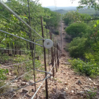 Electric Game Fencing Photo Gallery - Africa Power Fencing
