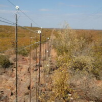 Game Fencing - Africa Power Fencing